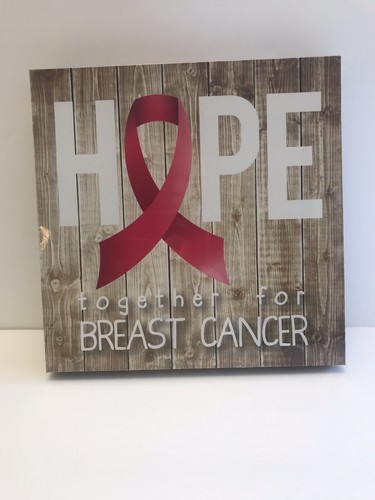 Breast Cancer Awareness Ribbon Shadow Box Photo Picture Hope lot of 1 ...