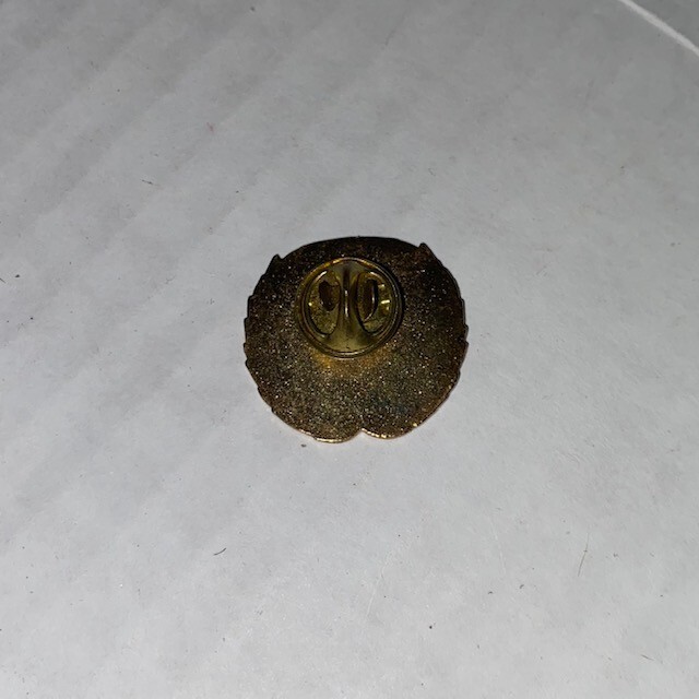 Vintage Gold Tone NACS 1991 Indianapolis Indiana Racecar Lapel Pin | eBay