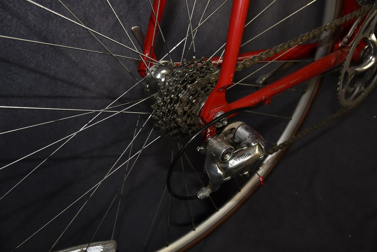 Novara Trionfo 6 Thousand Series Novara In Un Giorno Guida Completa