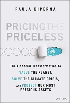 Pricing the Priceless: The Financial..., DiPerna, Paula 9781119913801| eBay