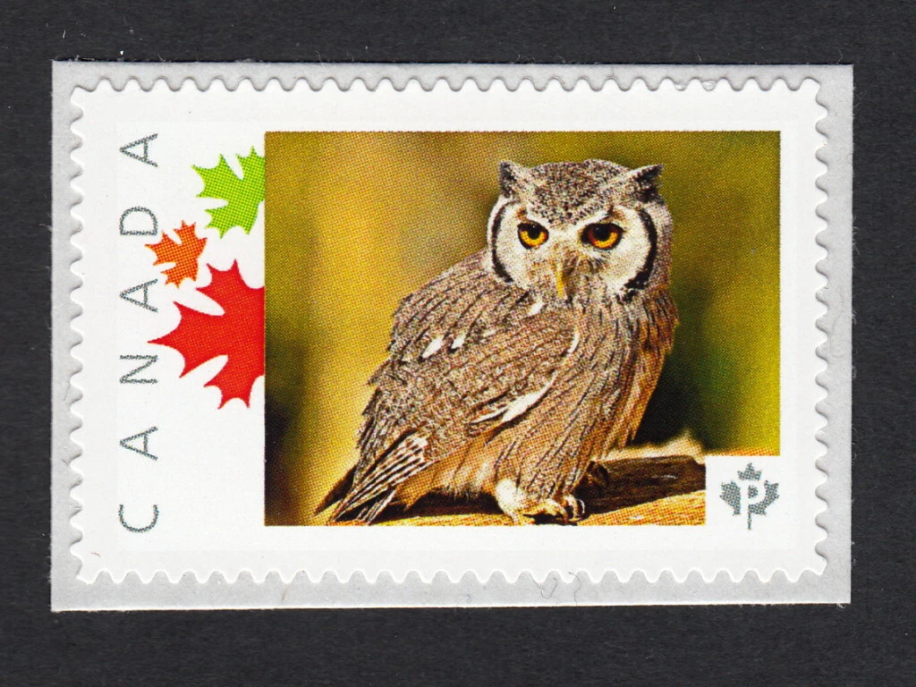 Custom Owl Stamp