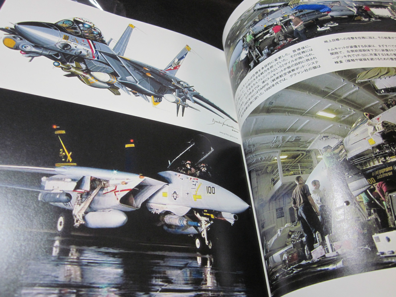 F-14 A/B/D TOMCAT Photo book GRUMMAN Danny Coremans 2011 very good ...