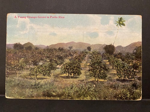Puerto Rico 1910-50s, TARJETA POSTAL - POSTCARD, Unused / Sin Usar | eBay