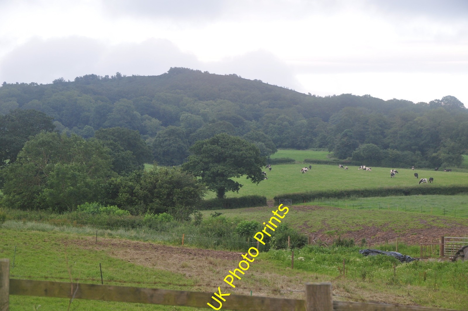 Photo A3 Mid Devon : Countryside Scenery Nicholashayne The countryside ...