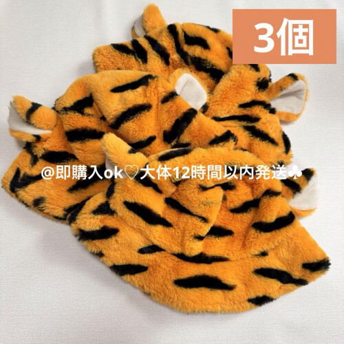 Tigger Bucket Hat Headwear Disney Winnie the Pooh Set of 2 Mickey | eBay