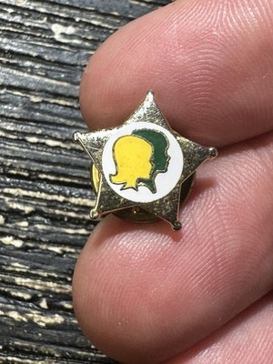 Florida Sheriffs Youth Ranches Lapel Pin Badge Hat Jacket Vest K575 | eBay