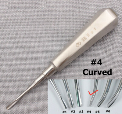 Dental Tooth Extraction Elevators Luxating Root Elevator Surgical Tool ...