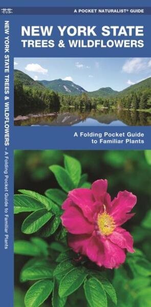 New York State Trees & Wildflowers : An Introduction To Familiar ...
