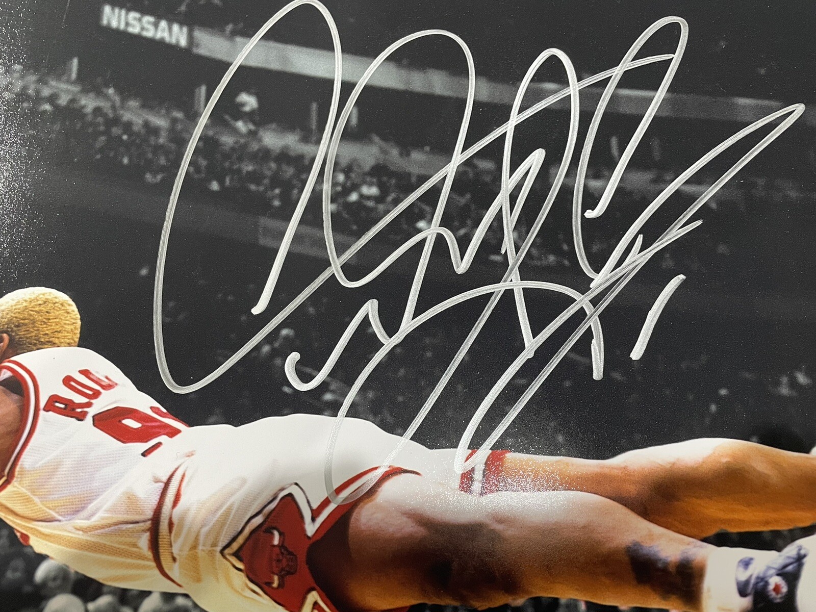 DENNIS RODMAN Signed CHICAGO BULLS Flying 16x20 AUTOGRAPHED Photo | eBay