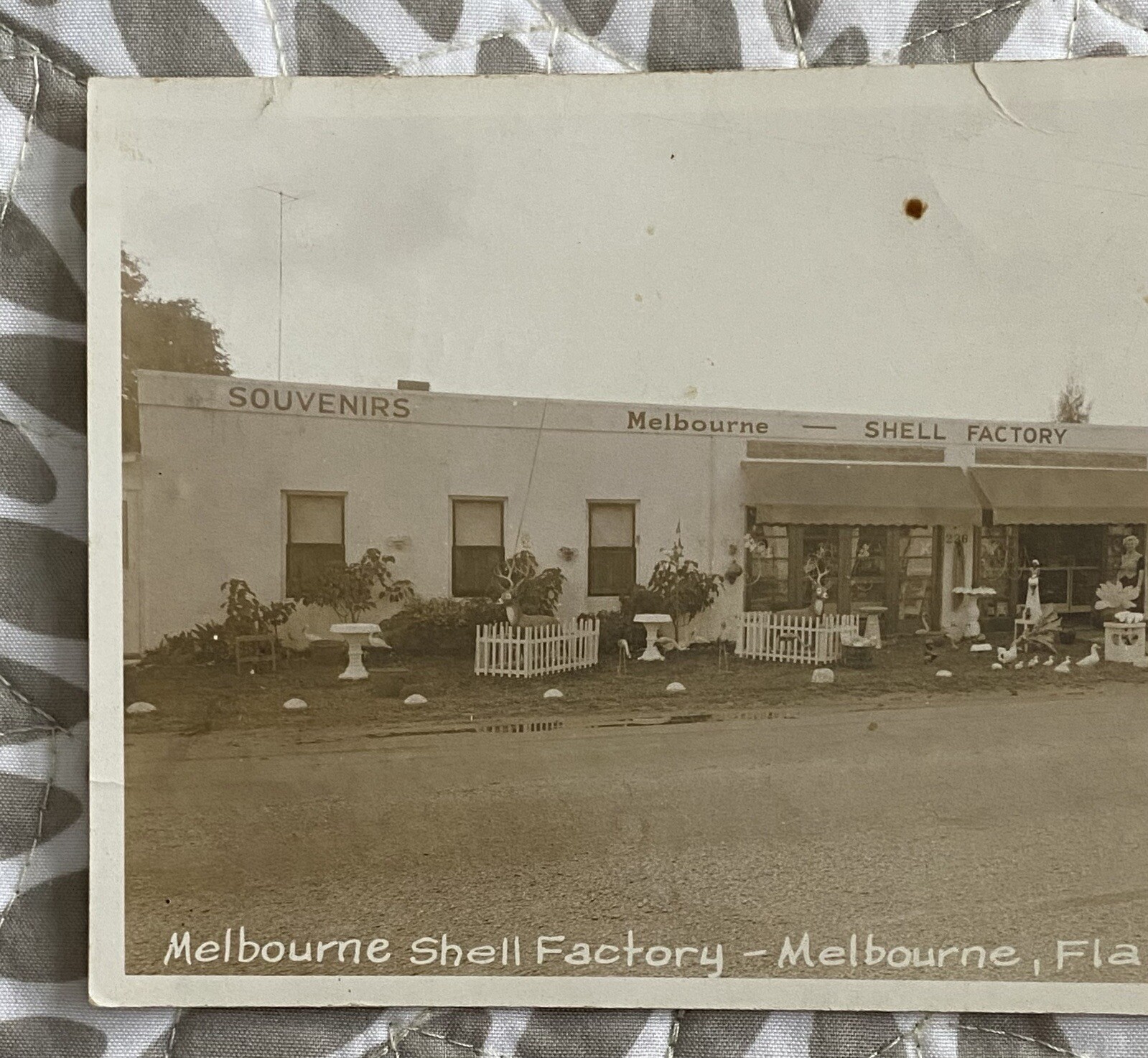 Old Postcard, Real Photo Melbourne Florida Shell Factory | eBay