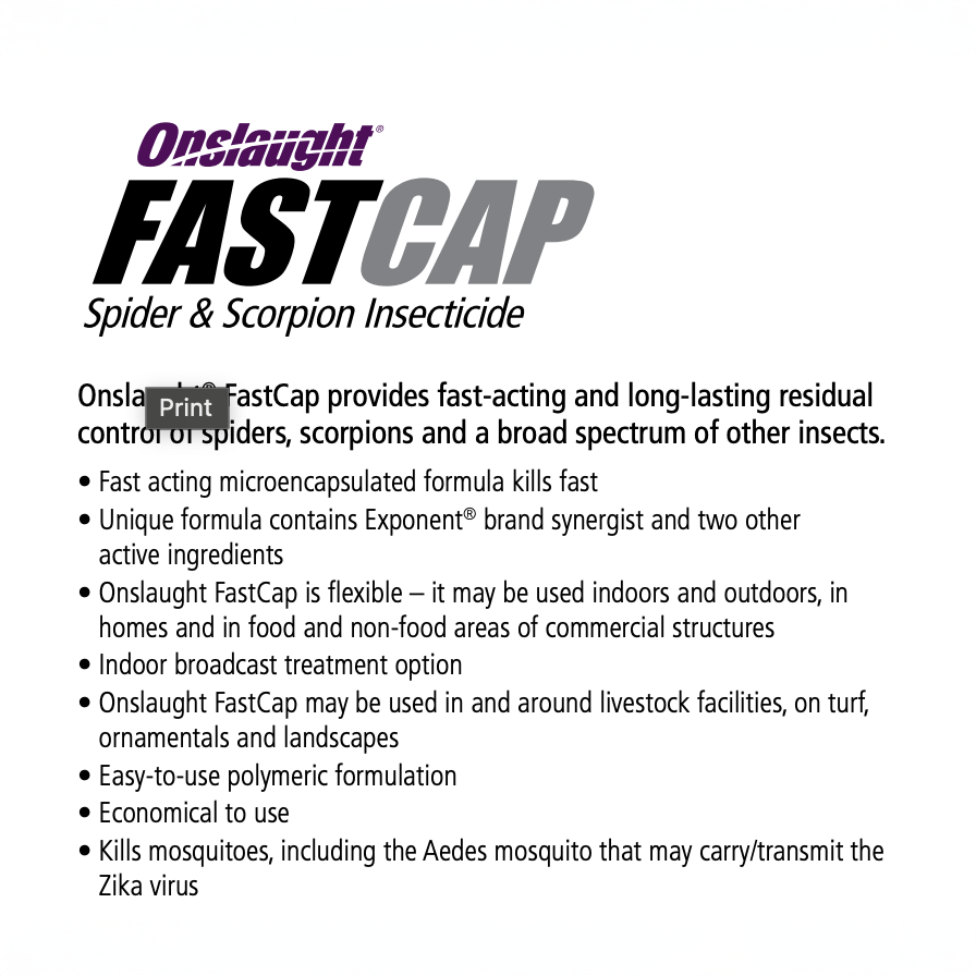 Onslaught FastCap Spider and Scorpion Insecticide 8 fl oz Bottle by MGK ...