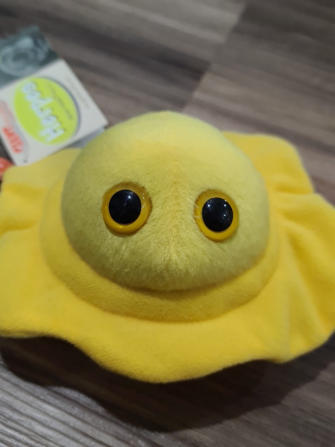 Giant Microbes Herpes Stuffed Plush STD Virus Venereal Biology Science ...