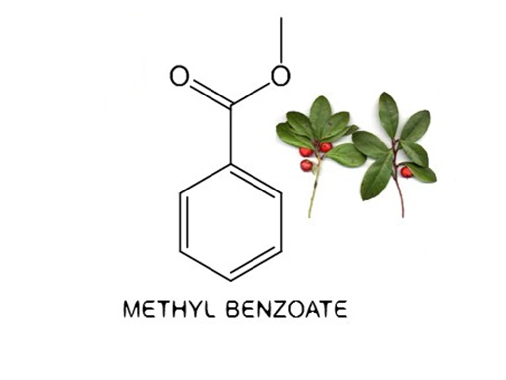 Methyl Benzoate Structure
