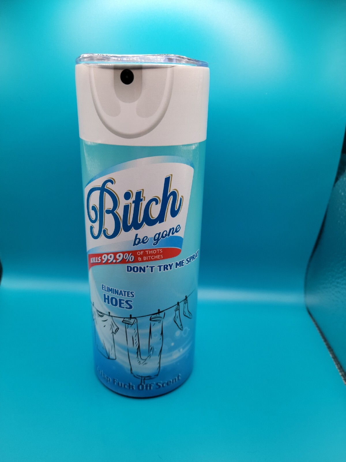 Bitch Be Gone Tumbler Cup 20oz | eBay