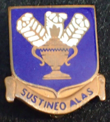 WW2 USAAF Army Air Forces Technical Training Command DI DUI Crest ...