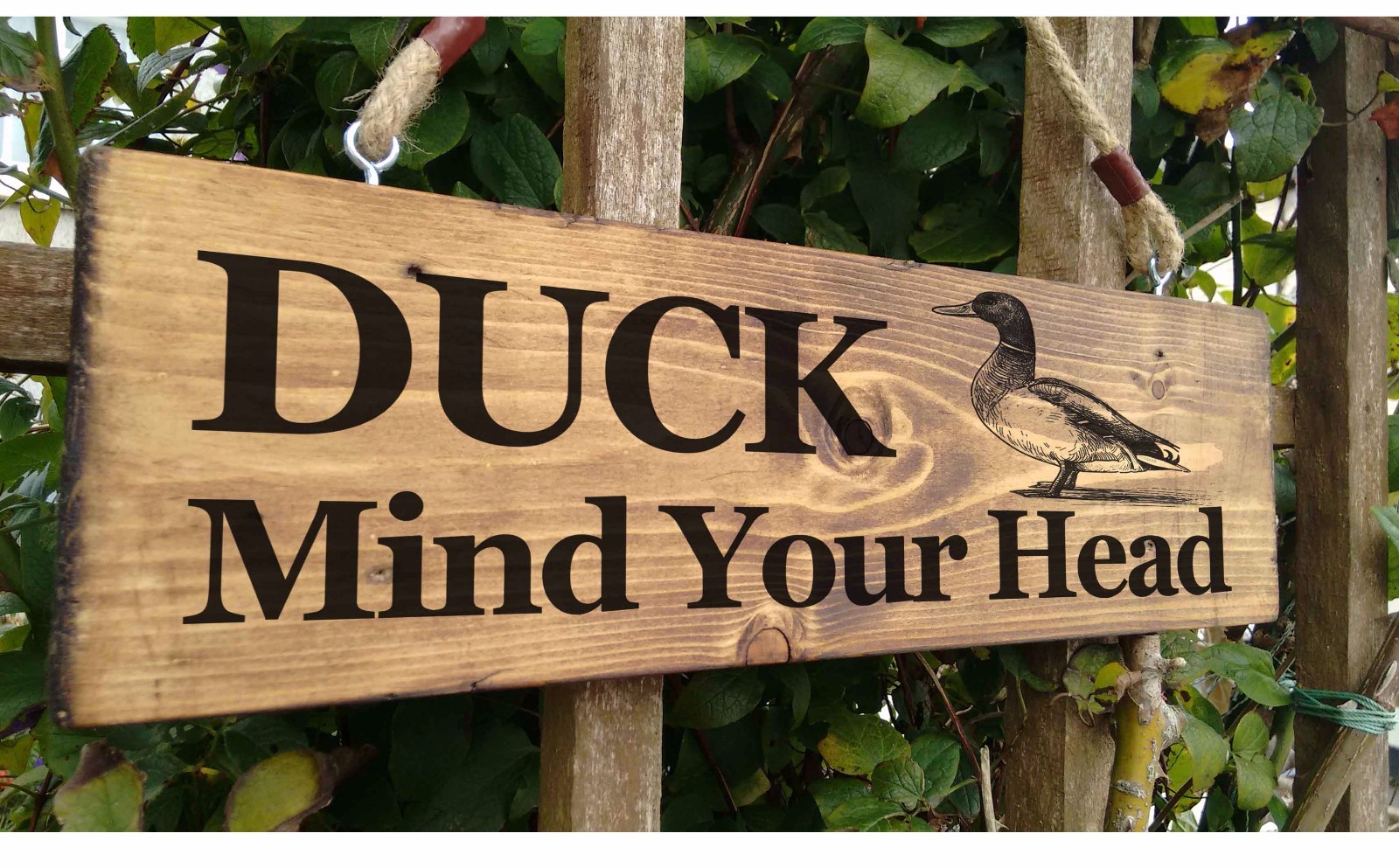 DUCK Mind Your Head - Low Beam - Plaque Sign Warning Notices Bang ...