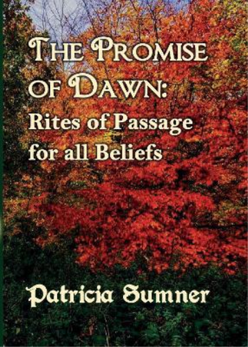 Patricia Sumner The Promise of Dawn (Poche) 9781914071744 | eBay