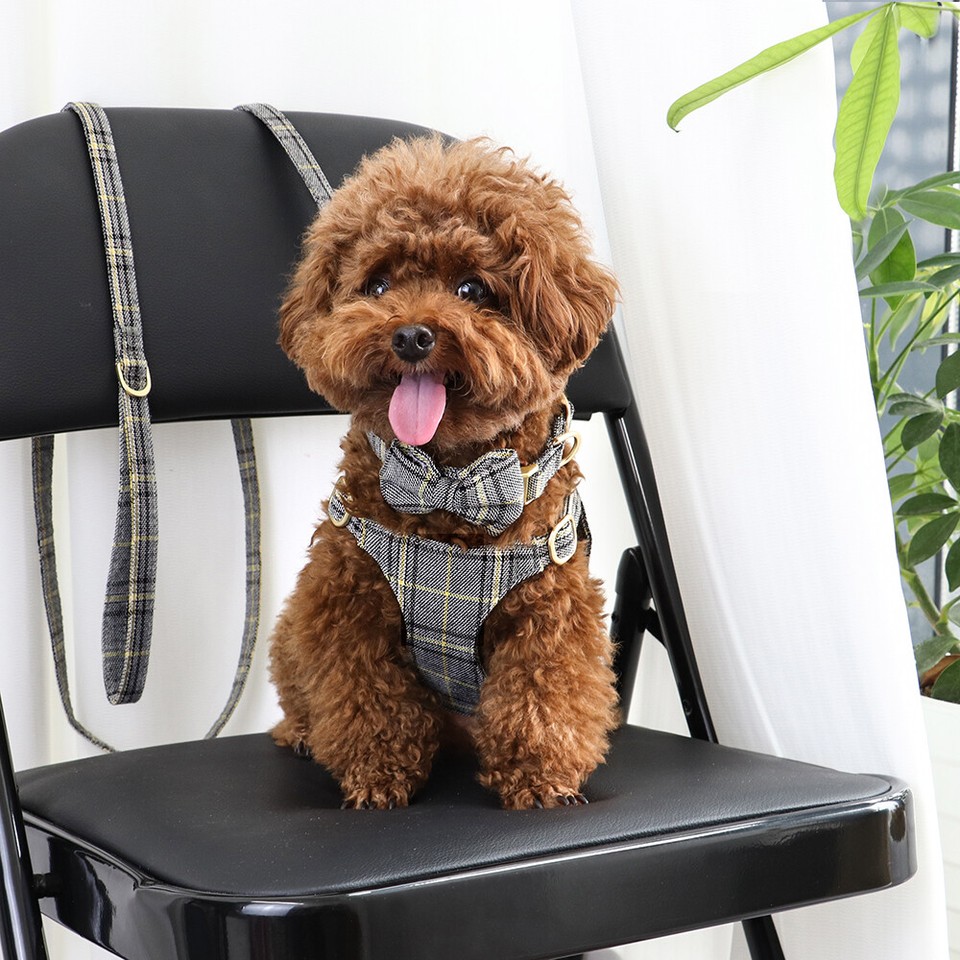 Cute Small Dog Vest Harness & Collar & Leash set for Pet Puppy ...