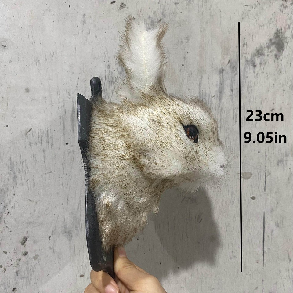 Jackalope Mount, Jackalope Taxidermy, Animal Head Wall Decor Deer Head ...