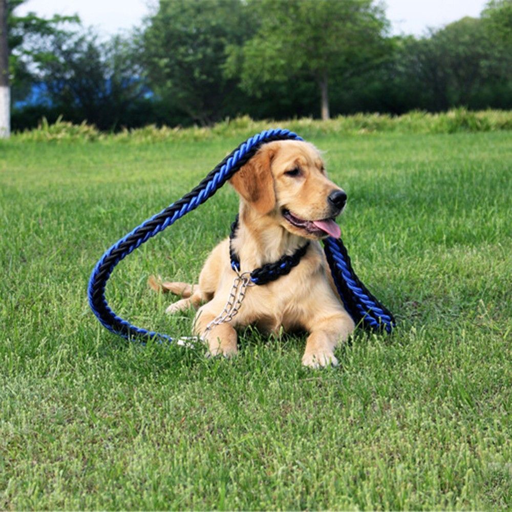 Leash Pet Genuine Big High Leather Woven Dog Rope Leashes Traction ...