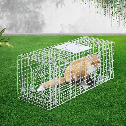 Humane Animal Trap Cage Rabbit Bird Cat Koala Possum Catch Spring ...