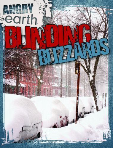 Blinding Blizzards by Portman, Michael 9781433965296| eBay