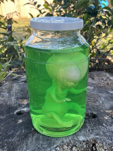Xenoarcheology Alien Specimen In A Jar 2001 Spencer’s Prop | eBay