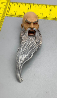 Wizard Yelling Head w Beard Arrizak Cosmic Mythic Legions 1/12 figure ...