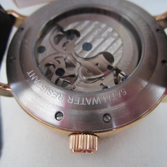 Adee Kaye Skeleton Men's Watch Automatic Lea Sports Original AK7117 for ...