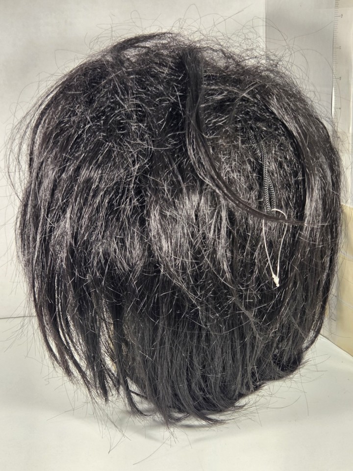 Disney Hocus Pocus Billy Butcherson Head Halloween Prop Decoration | eBay