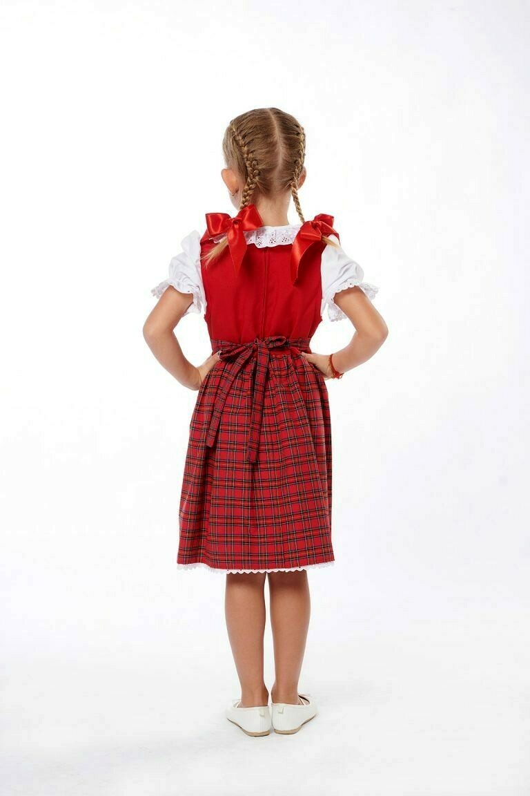 Dutch Lady Costume
