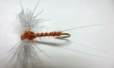 Flies - Rusty Spinner