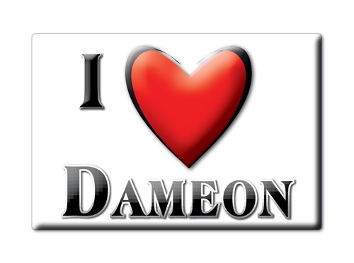 Dameon Fridge Magnet Name Gift Idea Birthday Graduation Birth | eBay UK