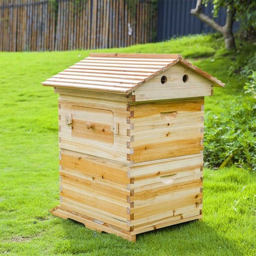 Wooden Beekeeping Beehive House Box + 7PCS Automatic Honey Bee Comb ...