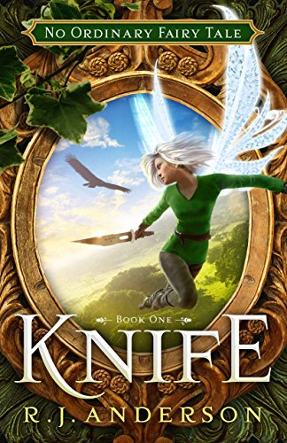 Knife (No Ordinary Fairy Tale Series Book 1) - Paperback NEW R. J ...