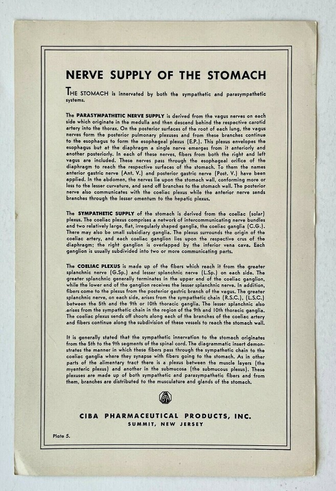 1940s Stomach Nerve Supply Vintage Medical Flyer Surgeon Frank Netter ...