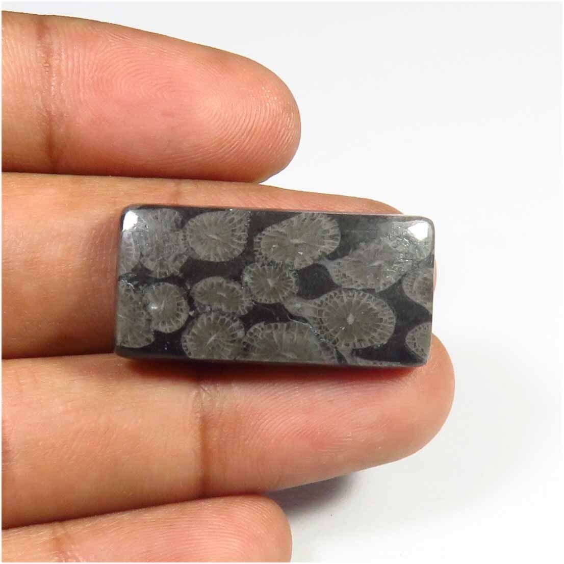 Noir Fossil Cabochon 27x13 MM Baguette Forme Gemmes Naturelles 21 Cts ...