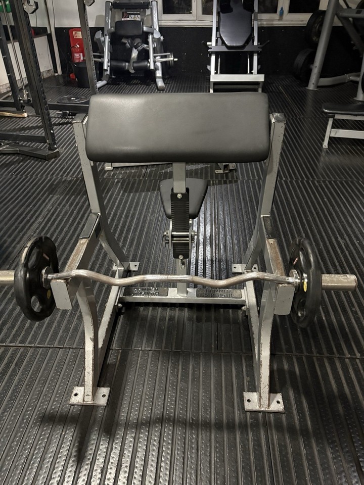 Hammer Strength Preacher Curl Bench | eBay UK