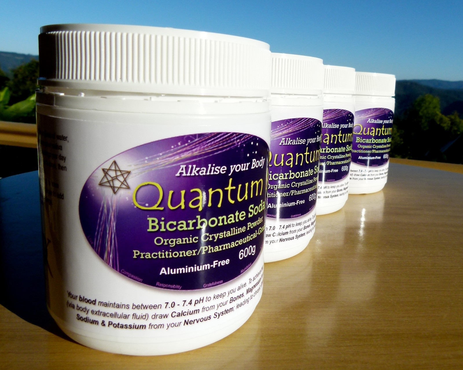 Bicarbonate Soda Practitioner/Pharmaceutical Grade 600g X 2pk w pH Test ...