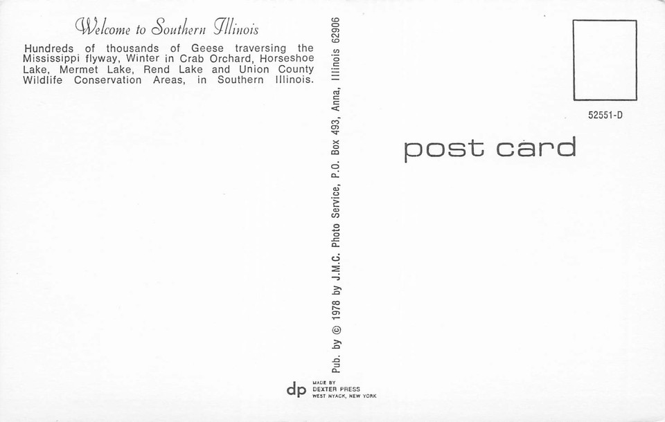 Postcard Welcome to Southern Illinois, Hundreds of Thousands of Geese ...