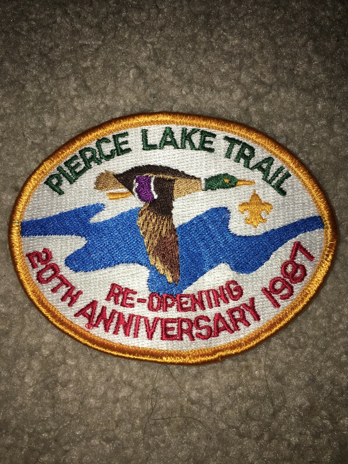 Boy Scout BSA Pierce Lake Illinois 20th Anniversary Re-Opening Duck ...