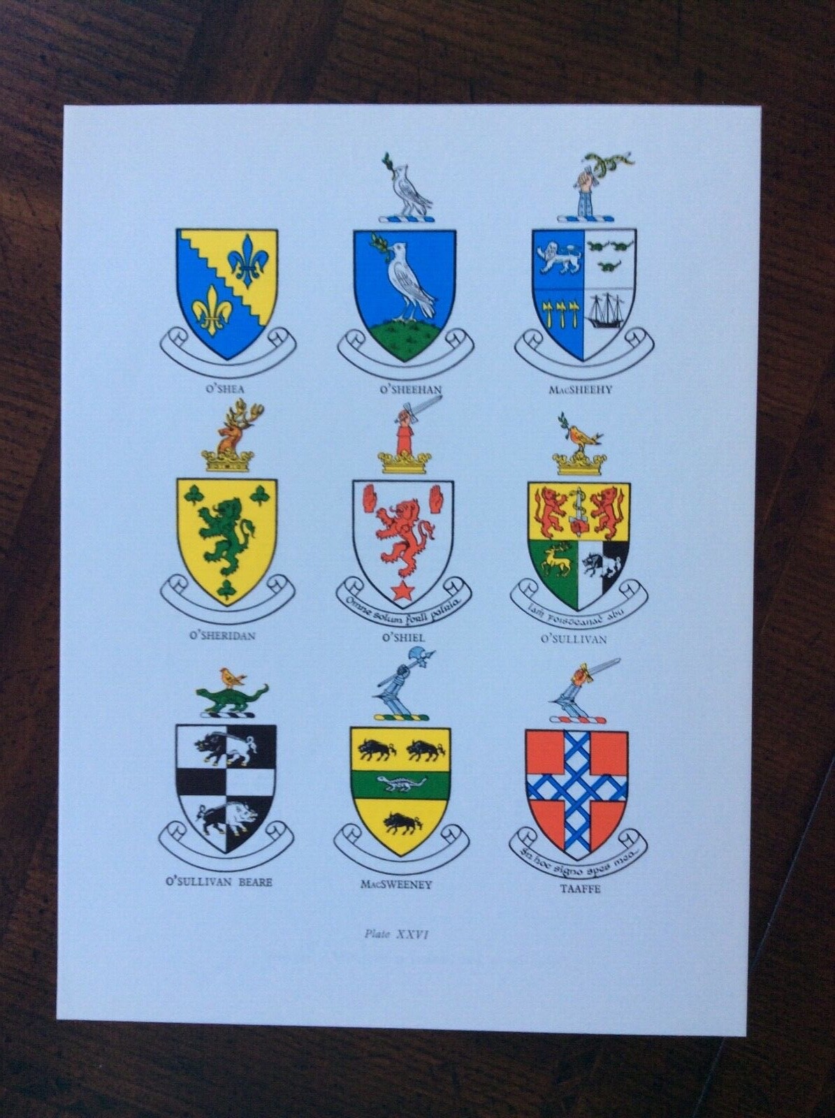 Original book illustration - Irish Coat Of Arms Family Crest ...