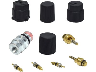For 1994-2005 Dodge Viper A/C System Valve Core and Cap Kit 55241FXZV ...