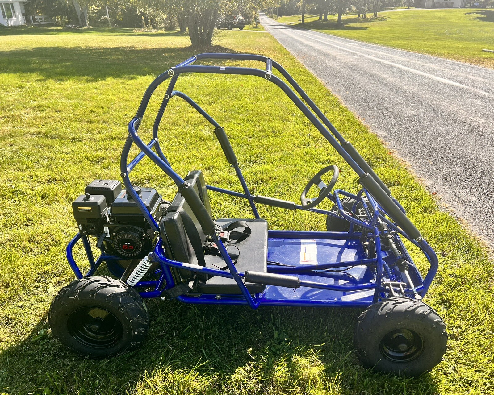 Blue Go Kart—Blue Mid XRS—6.5 Motor—Trail Master | eBay