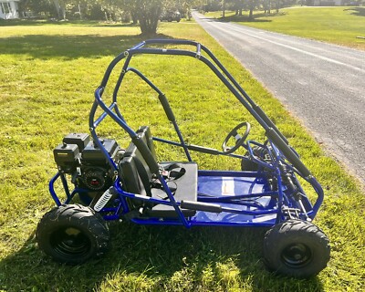 Blue Go Kart—Blue Mid XRS—6.5 Motor—Trail Master | eBay