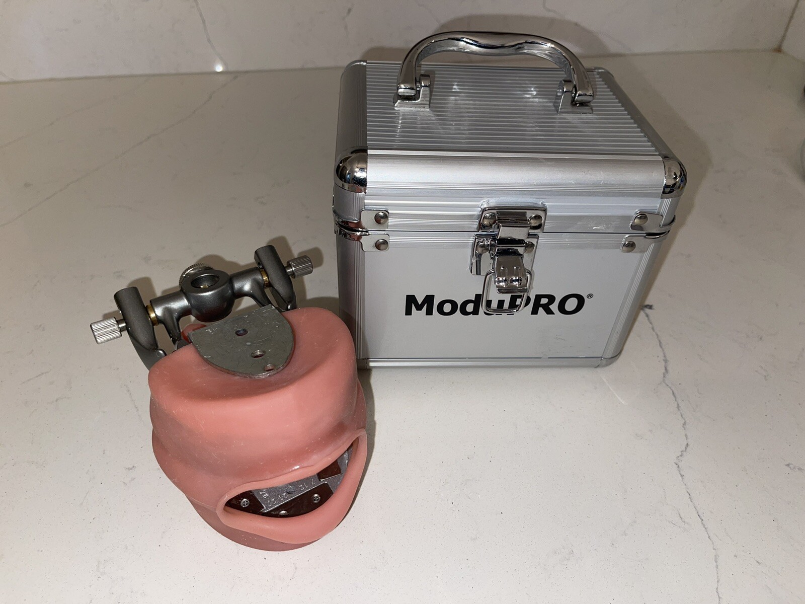 ModuPRO Acadental Typodont | eBay