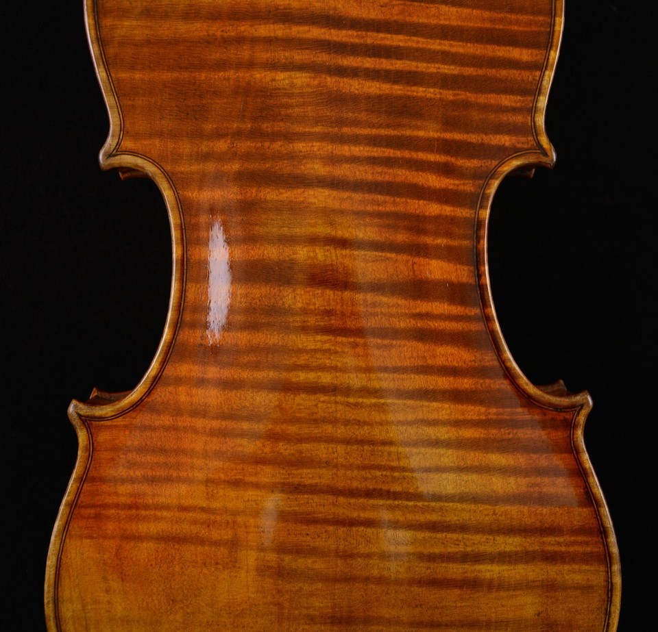 Rare Violin Master Violin Guarneri Violin 1-PC Back No. W-098 | eBay