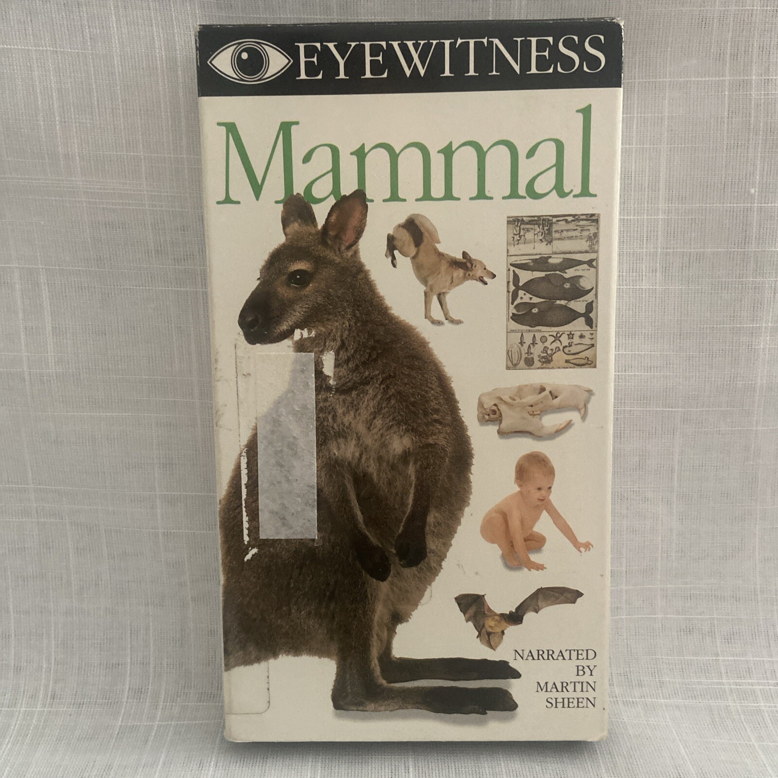 Eyewitness 1996 VHS DK Vision Mammal Narrated Martin Sheen | eBay