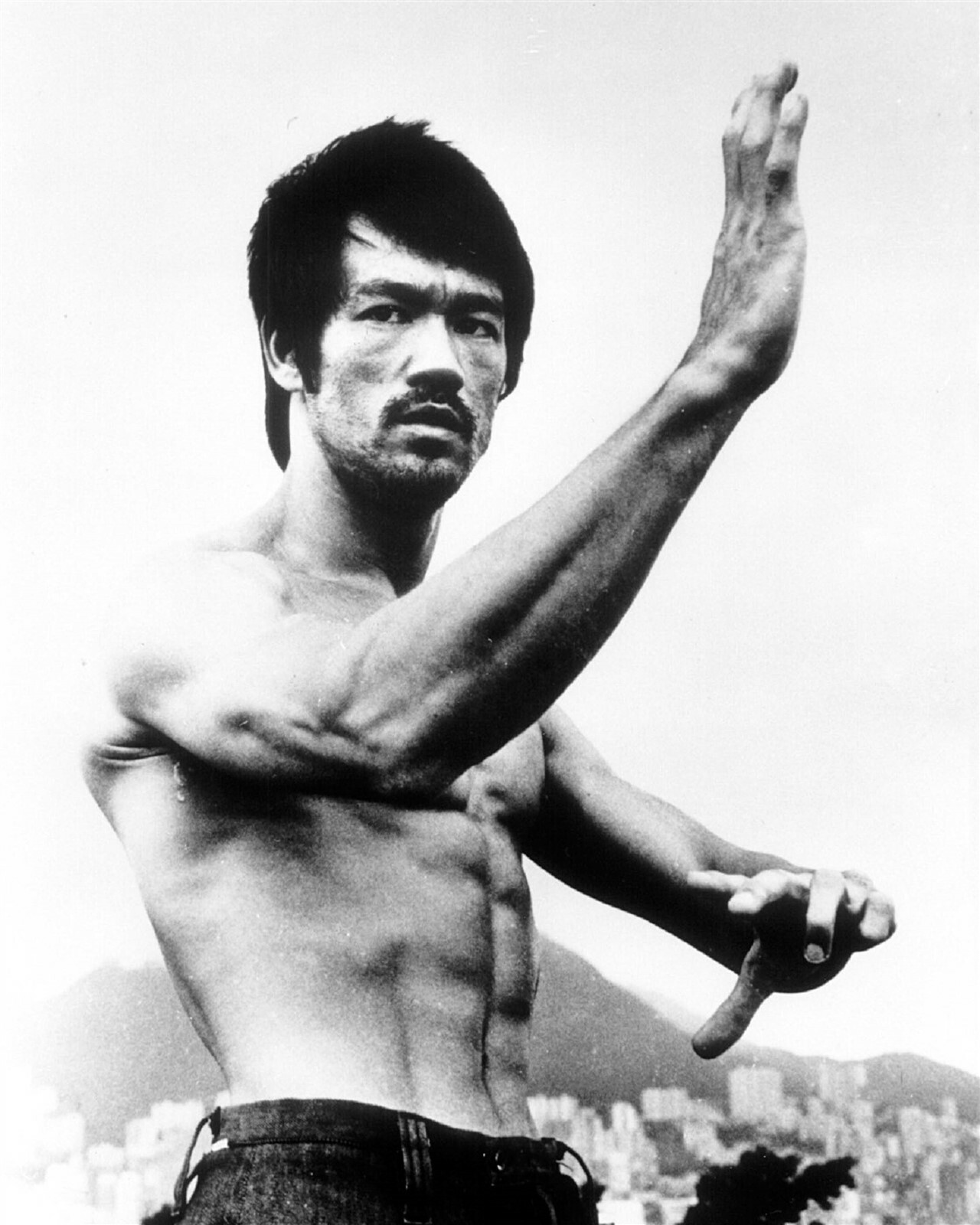Bruce Lee Goatee