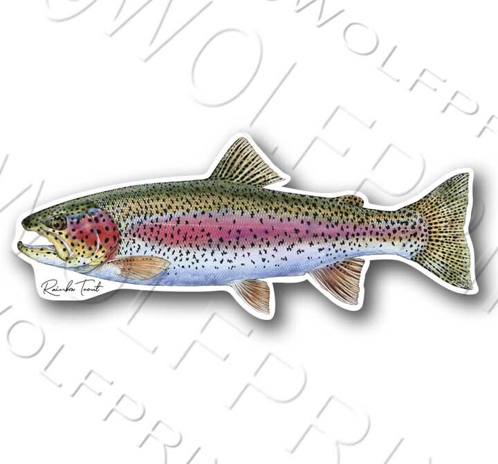 Rainbow Trout Fish Sticker 6" or 11" Wide Walleye Bass Boat Car Window ...